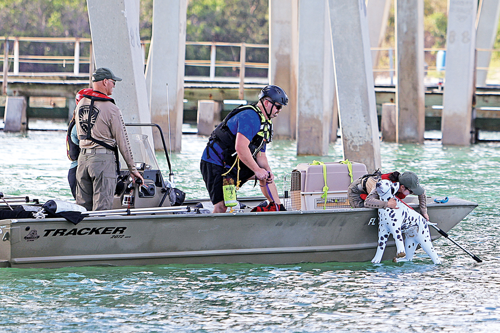 PHOTO GALLERY | Lee County Animal Services Technical Rescue Team water ...